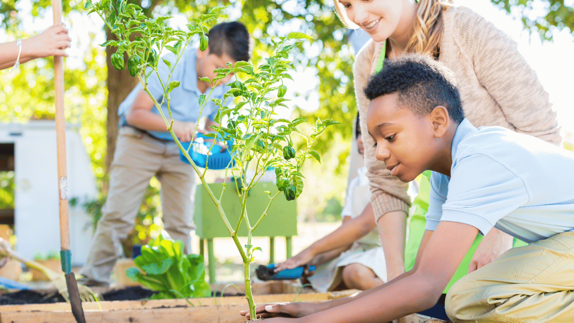 Grassroots Grants