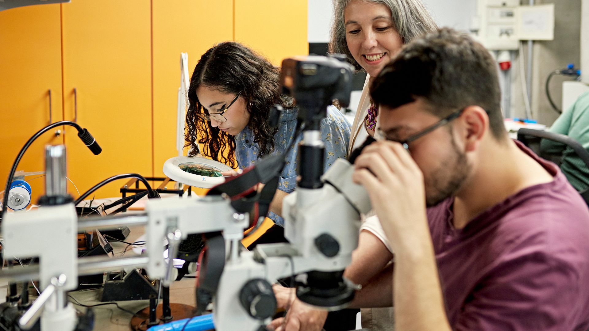 Schools Pathways Program